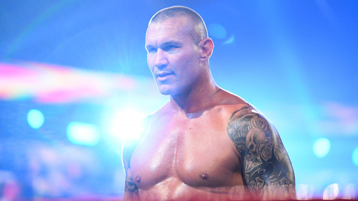 More on the Shane McMahon - Randy Orton Story from the WWE Royal Rumble