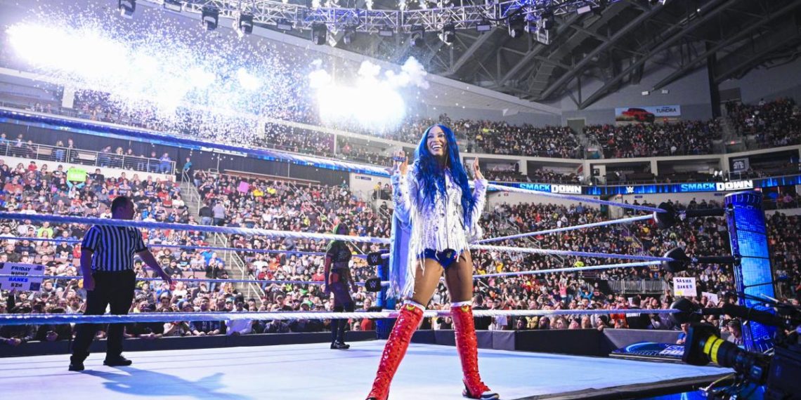Sasha Banks Apparently Has Something Really Big Coming Soon