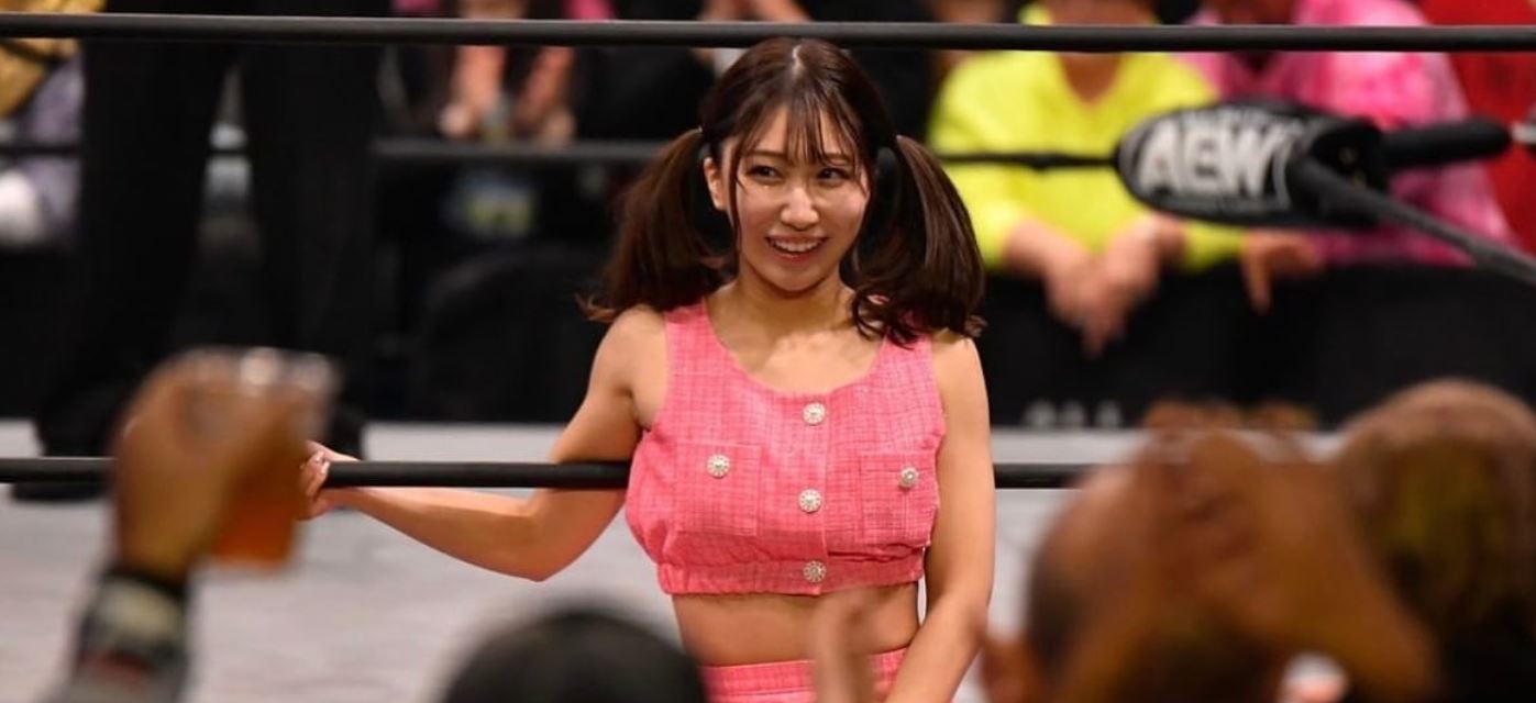 The Lucha Brothers, Lance Archer, Danhausen, Riho and Others Set for ...