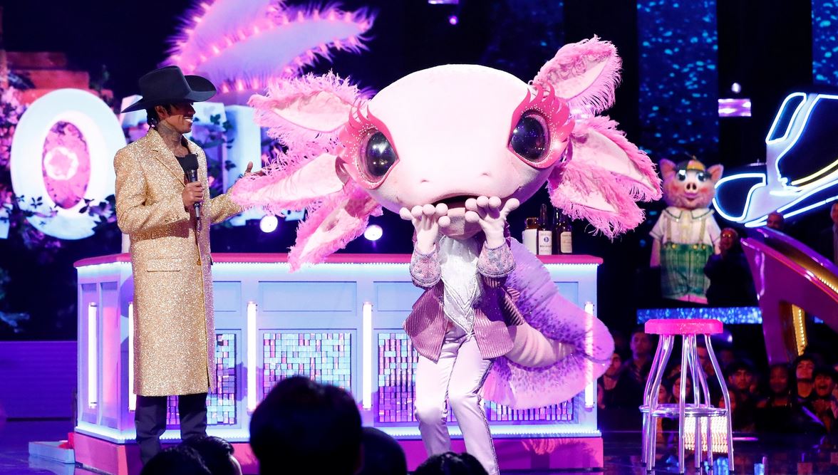 WWE Superstar Revealed as The Masked Singer on FOX, Photos and Video