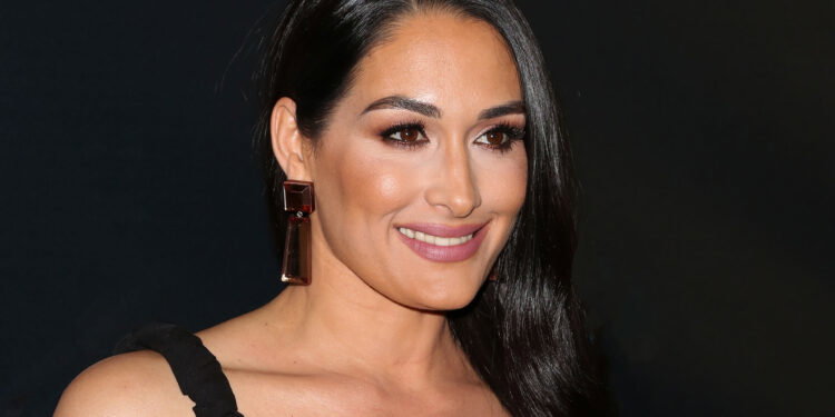 Backstage Update On Negotiations Between Nikki Bella & WWE, Plans For ...