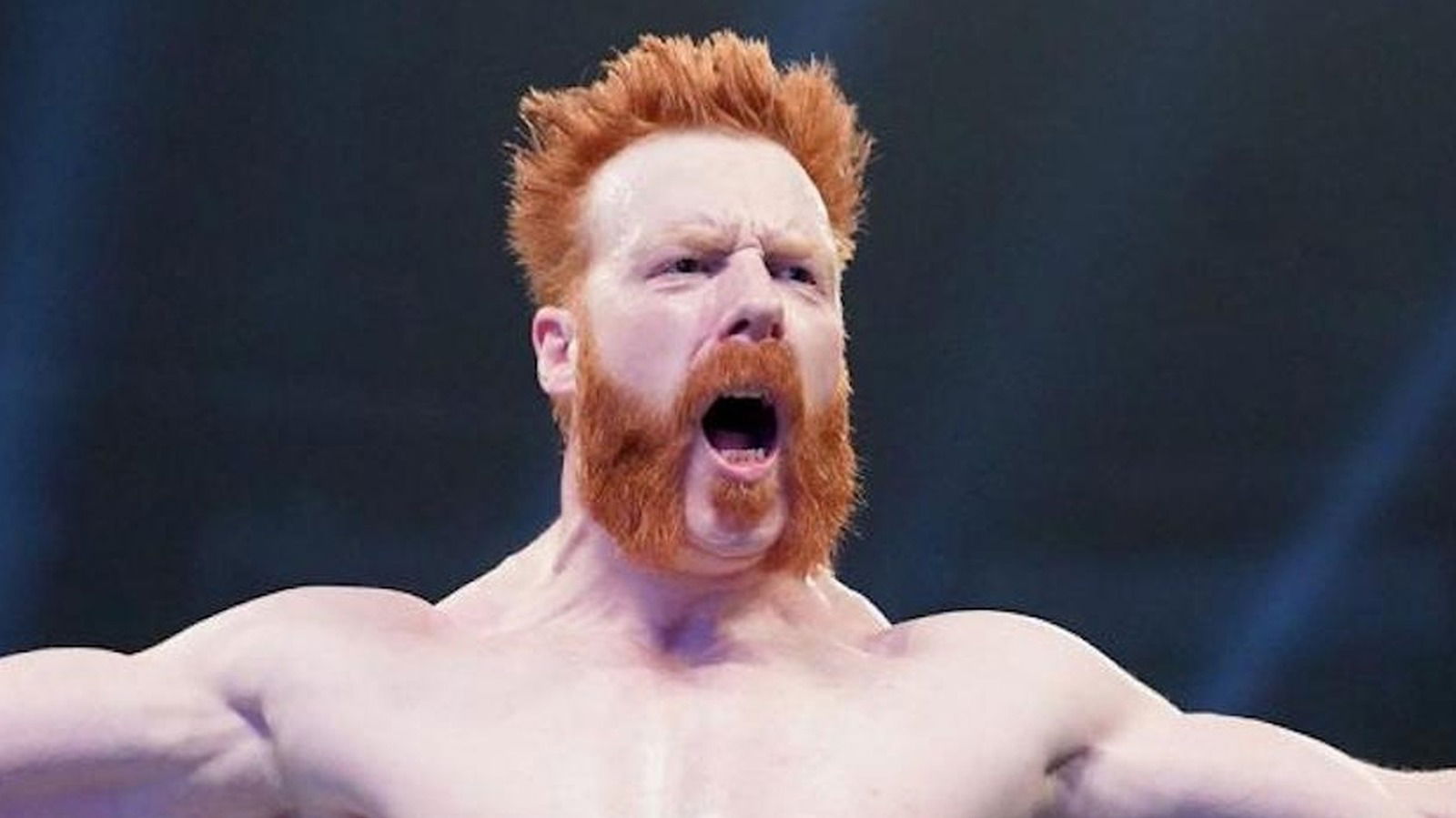 JBL Says Sheamus Just Can't Have A Bad Match