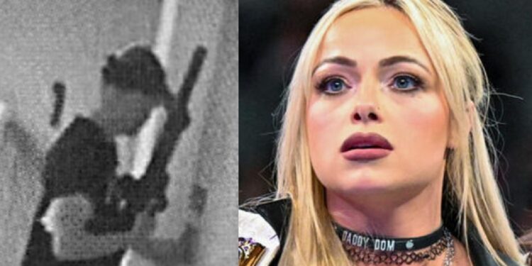 Update On Liv Morgan Stalker Case